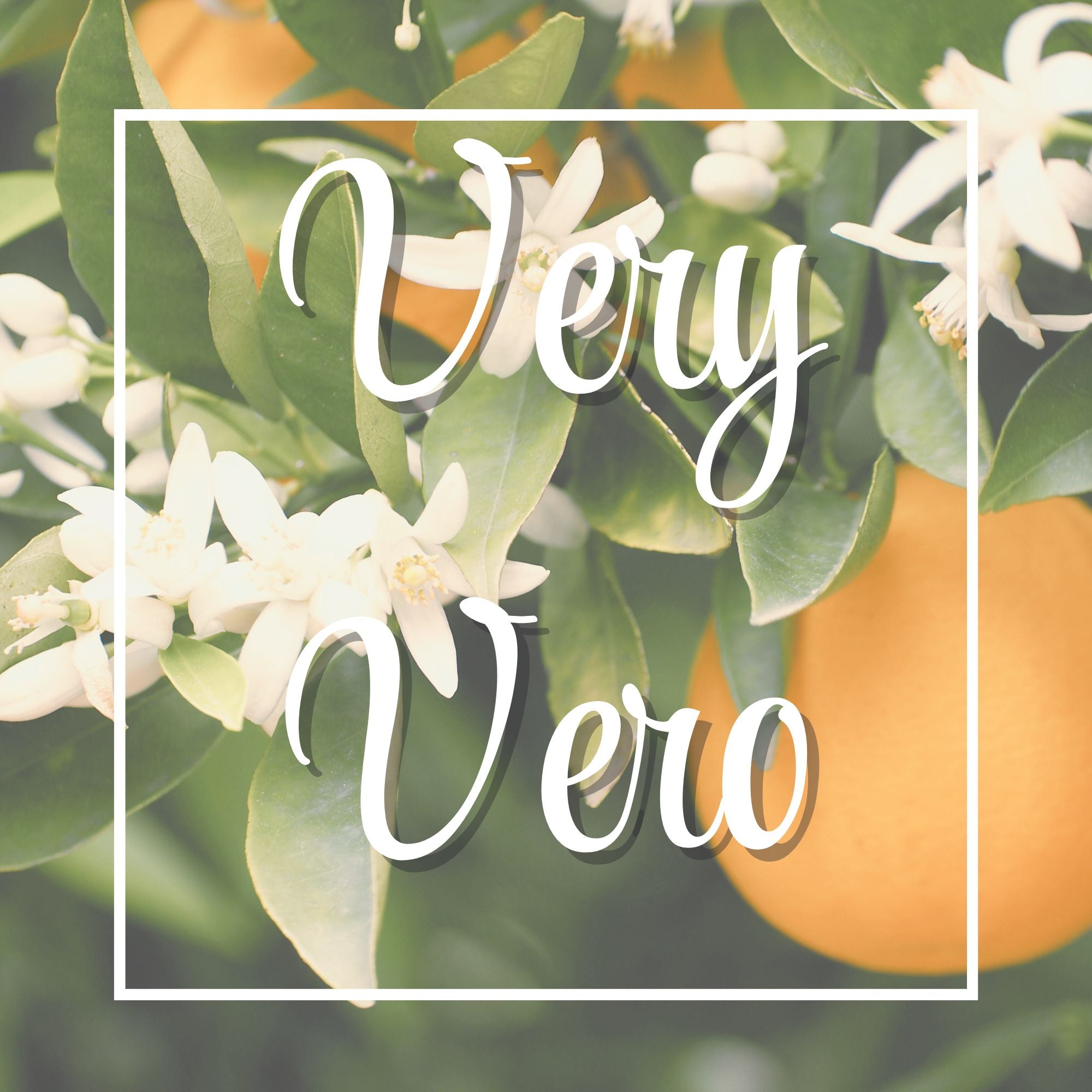 VERY VERO Orange Blossom candles and home fragrances – The Columbia ...